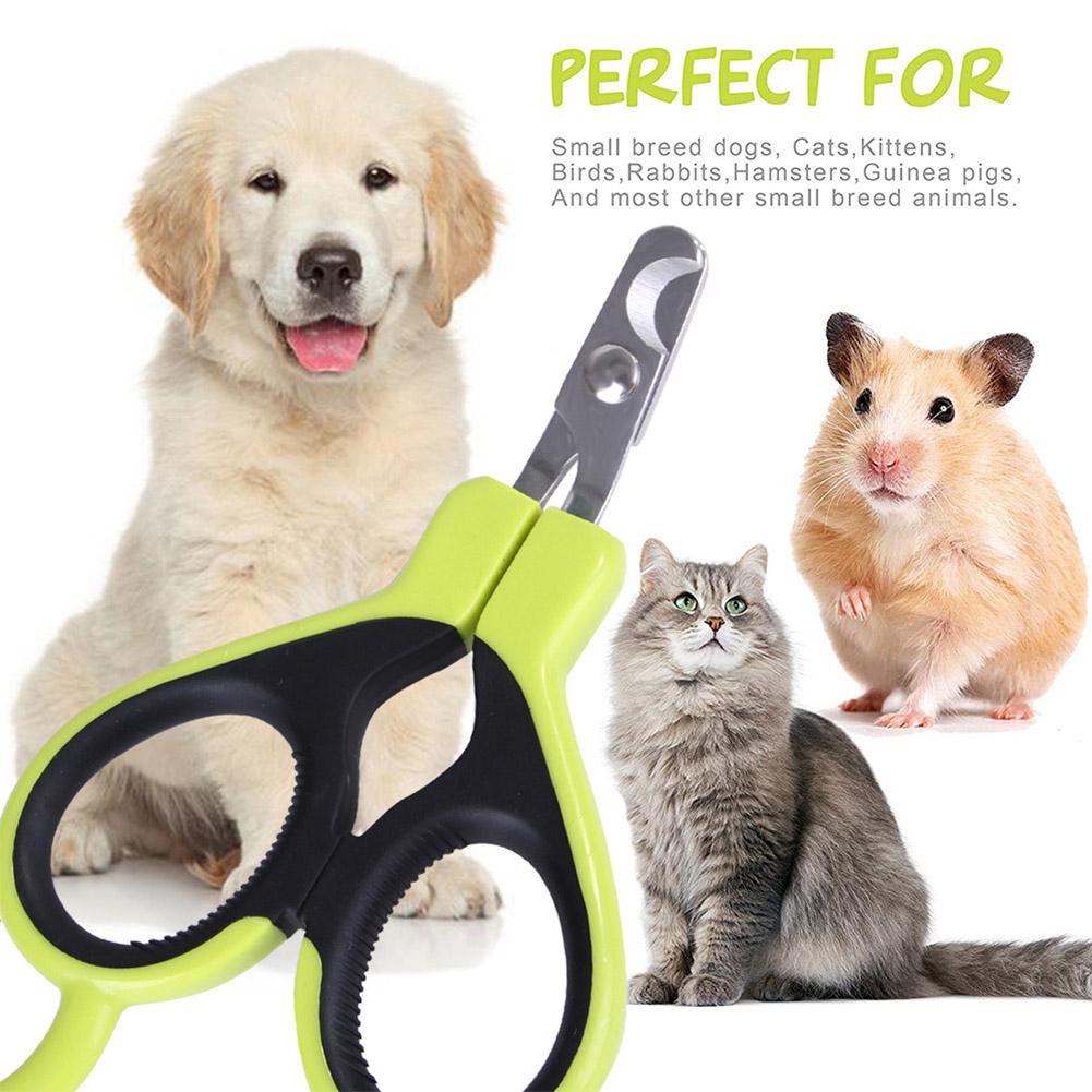 LanLan Pet Nail Scissors Claw Pliers for Cats Dogs... – Vicedeal