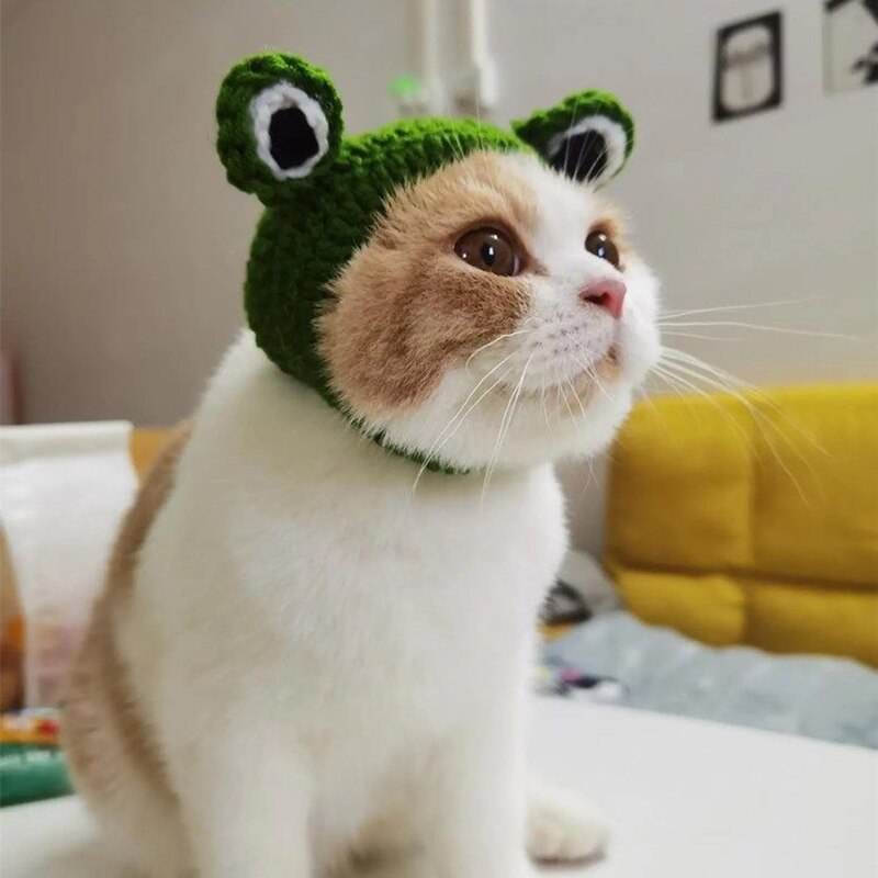 Pet Knitted Handmade Hat for Cats Dogs Cute Frog S... – Grandado