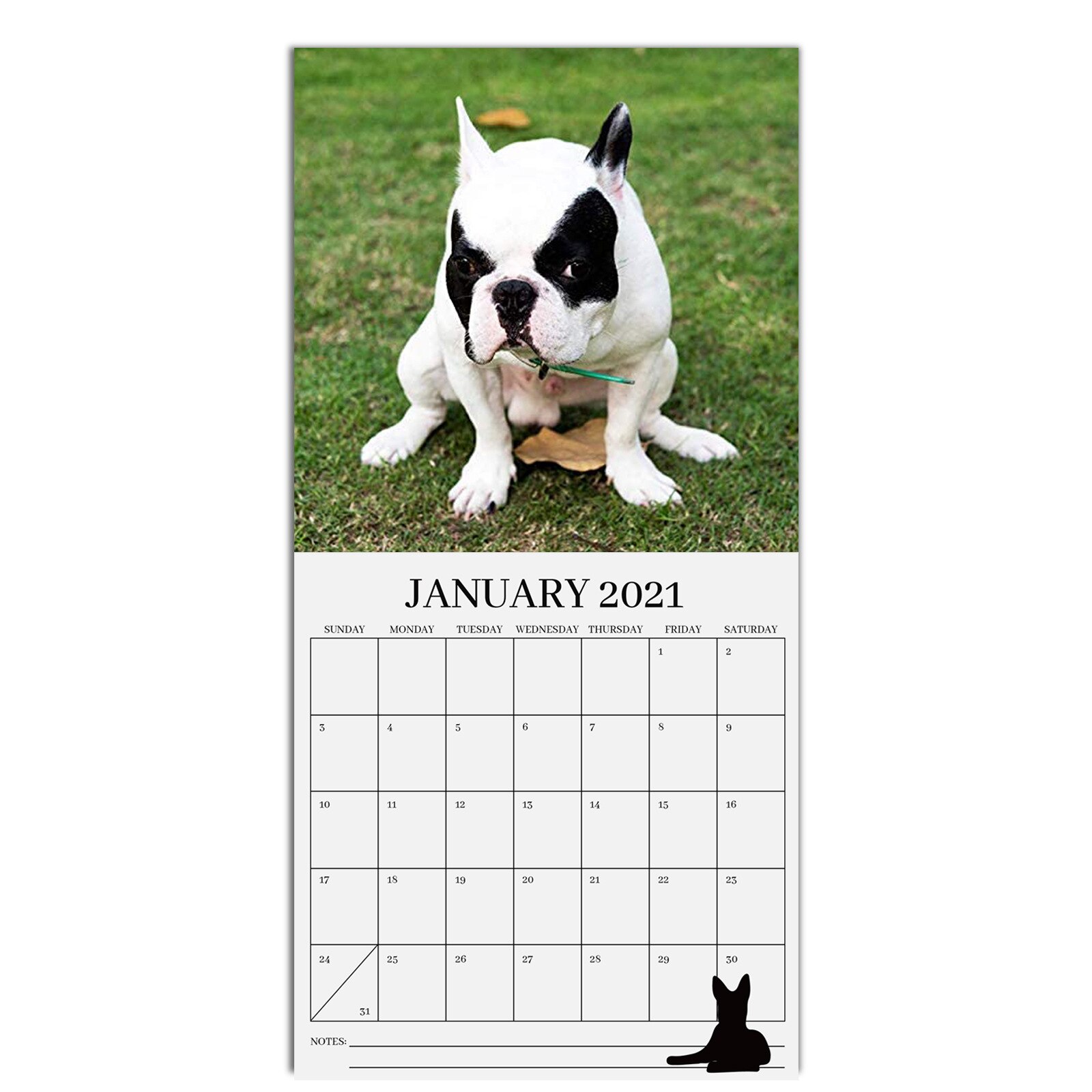 year Wall Calendar Dog Cat Poop Prank Calendar cal... – Grandado