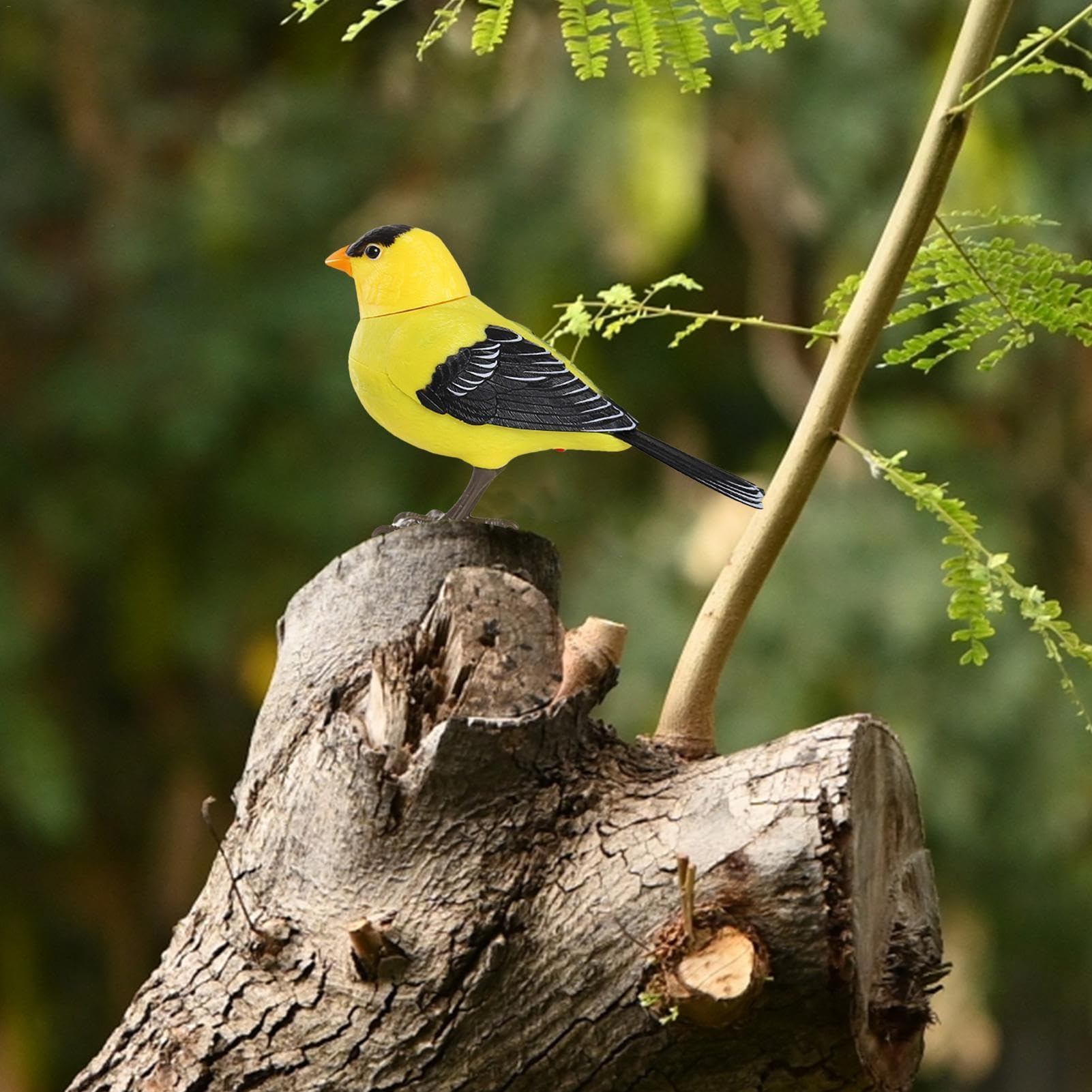 Robot birds, electronic singing and chirping bird ... – Grandado
