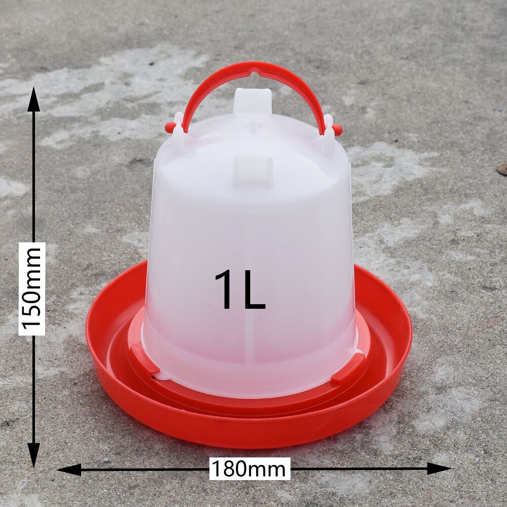 2Set Chickken Feeding Watering Supplies Kip Feeder... – Grandado