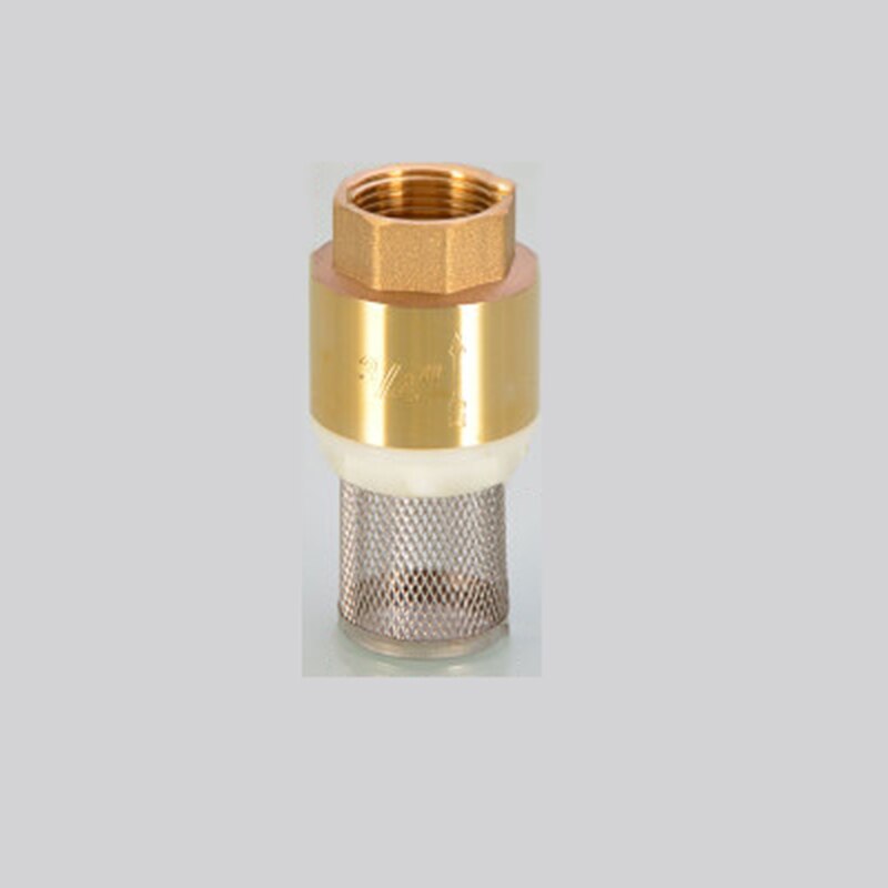 3/4" BSP Female Thread Brass Check Valve With Mesh... – Grandado