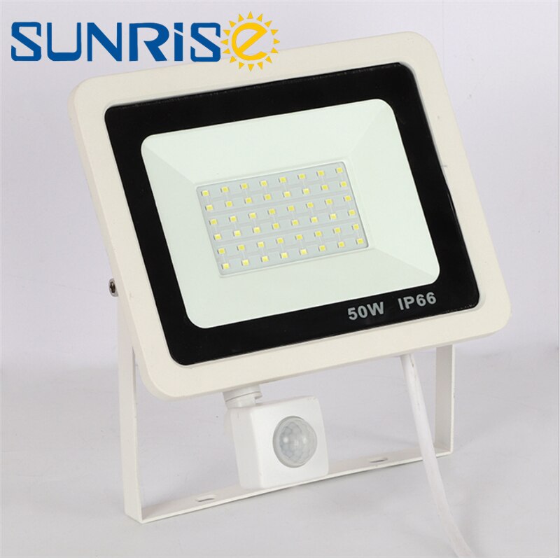 Led Overstroming Licht 10W 20W 30W 50W 100W IP66 W... – Grandado