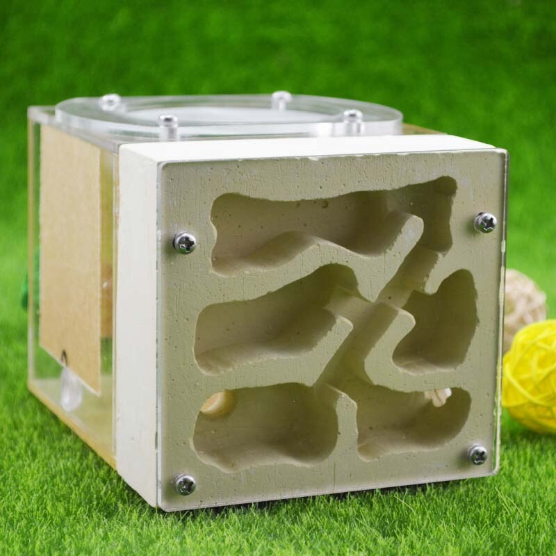 Acrylic Gypsum Hybrid Eco Pet Breeding Nest Ants F... – Vicedeal