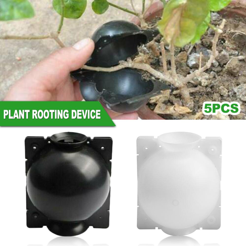 5pcs Plant Rooting Ball Grafting Rooting Growing B... – Grandado