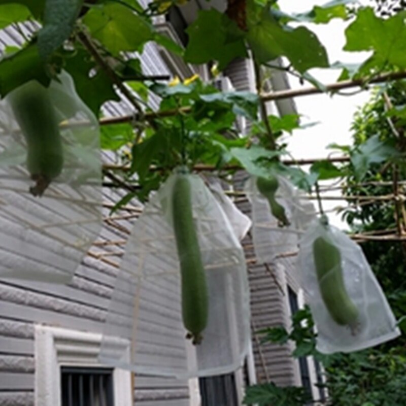 50pcs 15-35cm Thicken Pest Contro Net Bag Orchard ... – Vicedeal