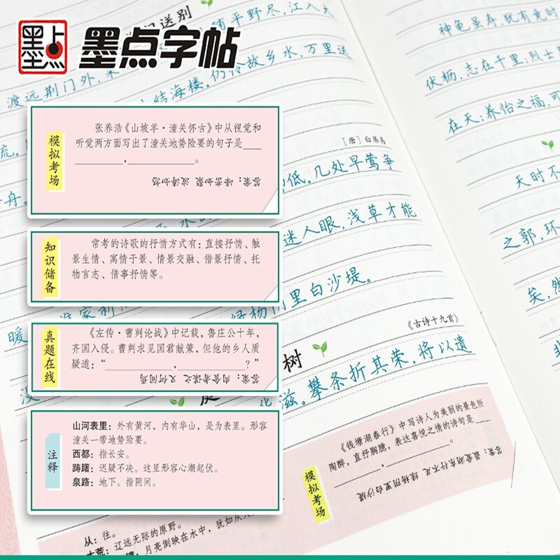 Chinese Calligraphy Writing Copybook Junior High S... – Grandado