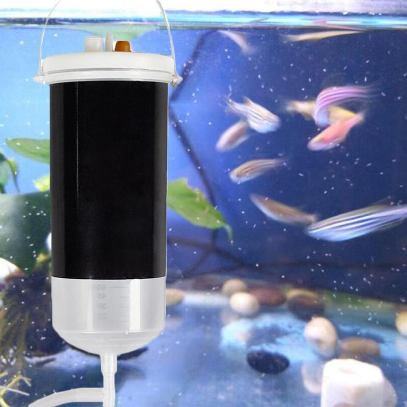 Fish Feed Fairy shrimp egg artemia alive hatch too... – Grandado