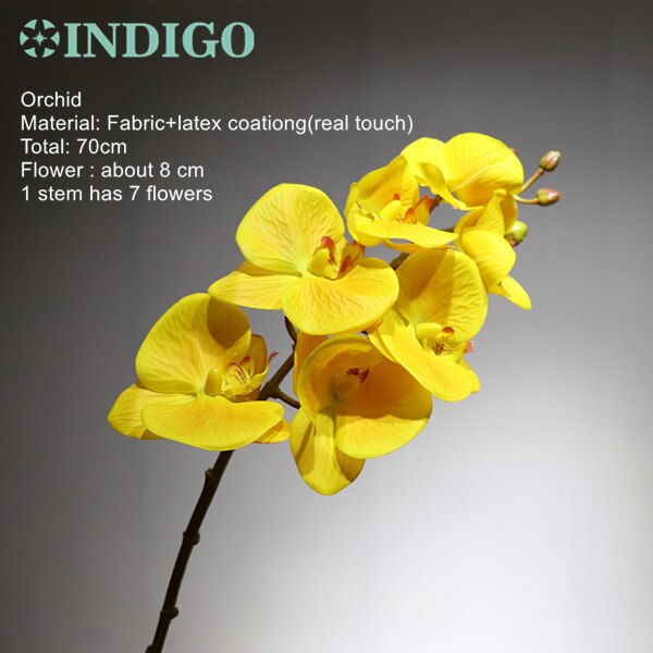 INDIGO - 3D Printing Petals Phalaenopsis White Orc... – Grandado