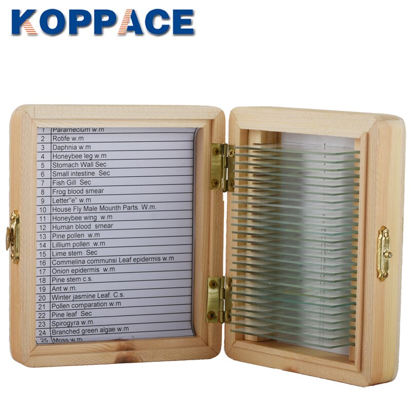 KOPPACE 25 Slices Of Biological Tissue Slides Wood... – Grandado
