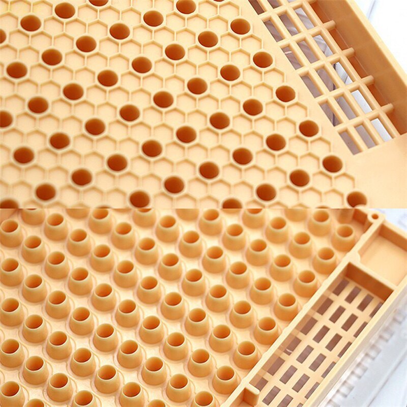 Bienenzucht 1 Stück Nicot Queen Bee Aufzuchtsystem... – Vicedeal