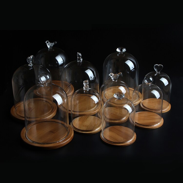 Glass Doll Dome With Bamboo Base For Wedding Party... – Vicedeal