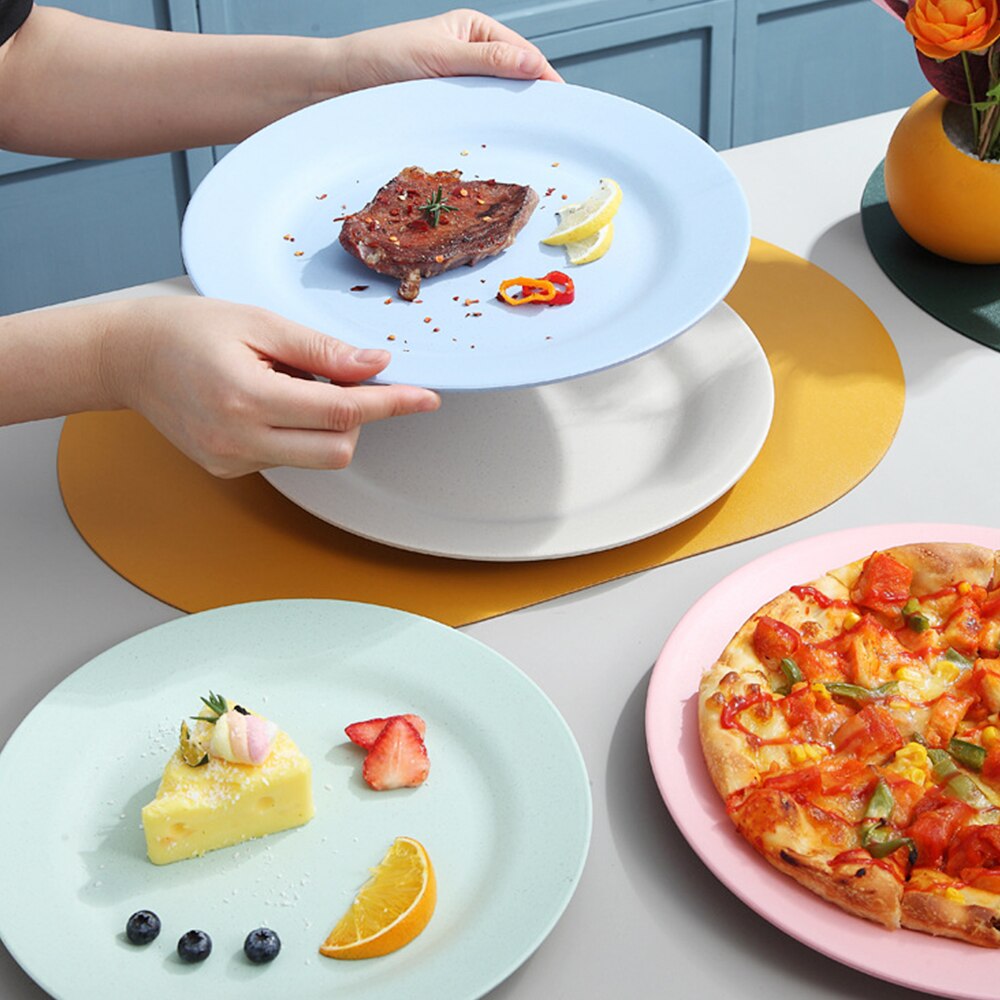 25cm Dinner Plate Steak Dishes Unbreakable Large P... – Vicedeal