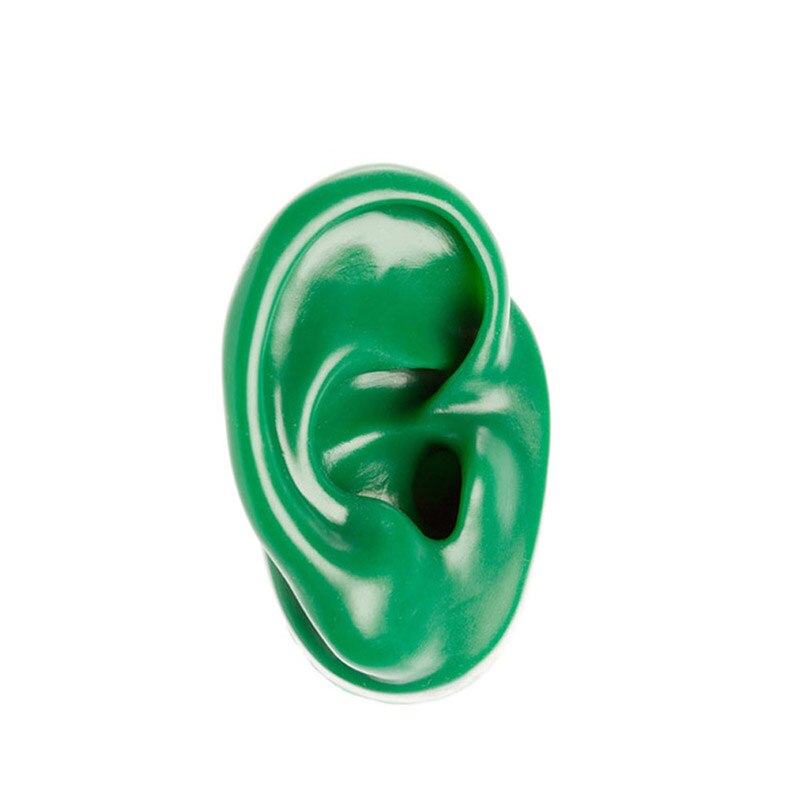Silicone Ear Model Human Artificial Ear Display fo... – Grandado
