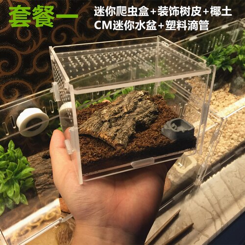Acrylic Insect Cage with Accessories Spider Lizard... – Vicedeal