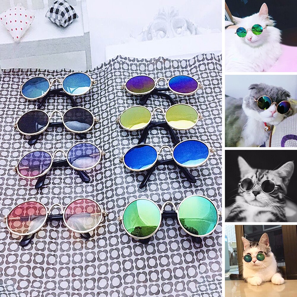 Round Cat Dog Practical Durable Universal Metal Fr... – Grandado