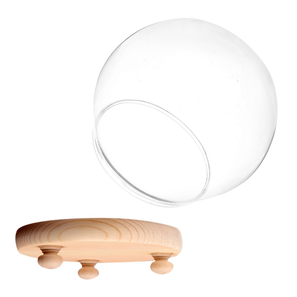 Clear Glass Display Bell Jar Dome Immortal Preserv... – Grandado