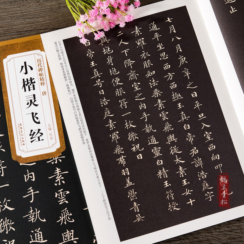 Lingfei Scripture Calligraphy Copybook Chinese Cha... – Vicedeal
