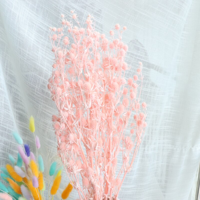 DIY Natur Frische Eternell Floral Erhalten Eryngiu... – Grandado