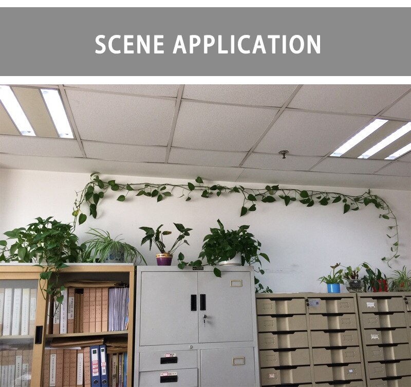1/5/10/20PCS Invisible Wall Vines Fixture Wall Sti... – Grandado