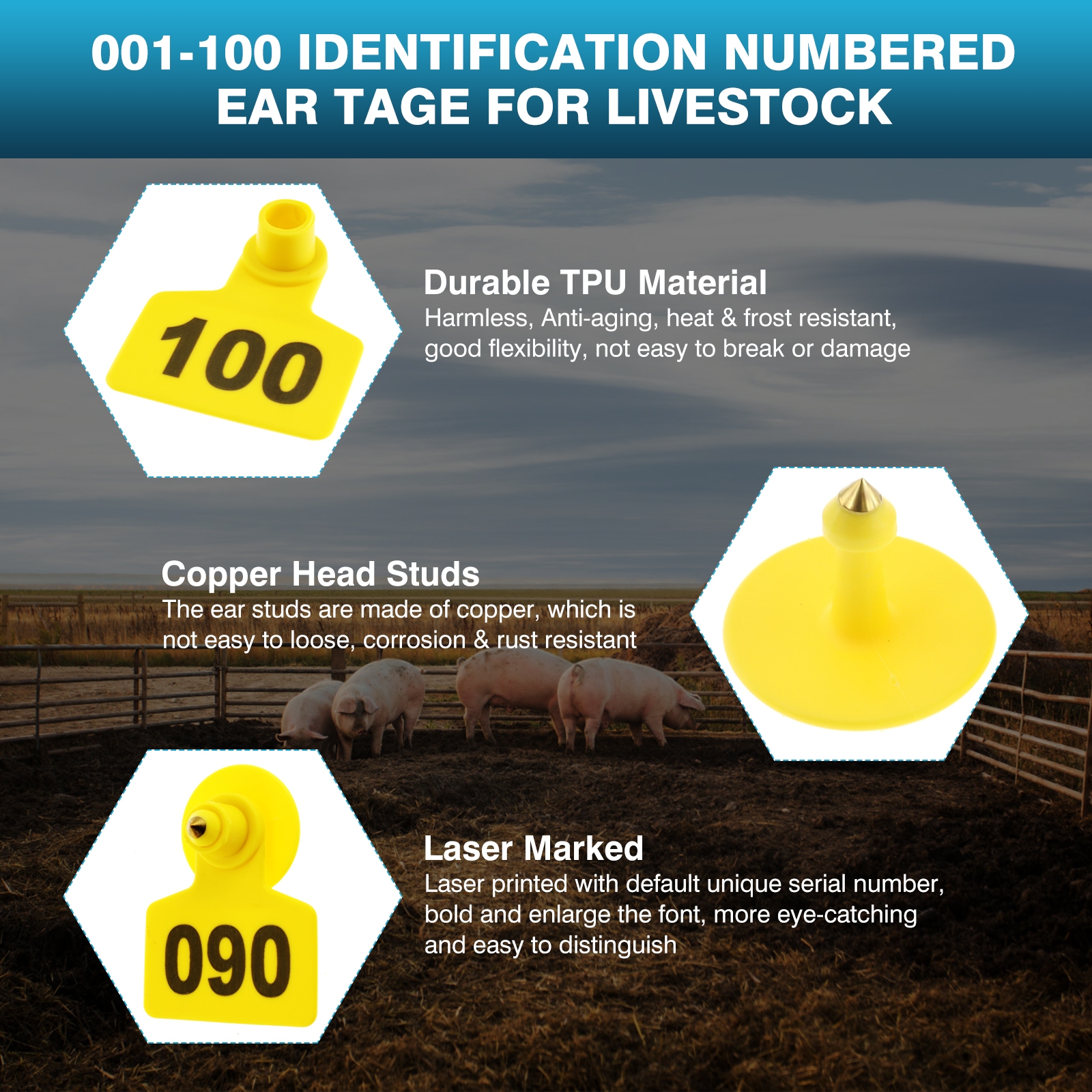 Livestock Identification Numbered Ear Tags for Cat... – Vicedeal