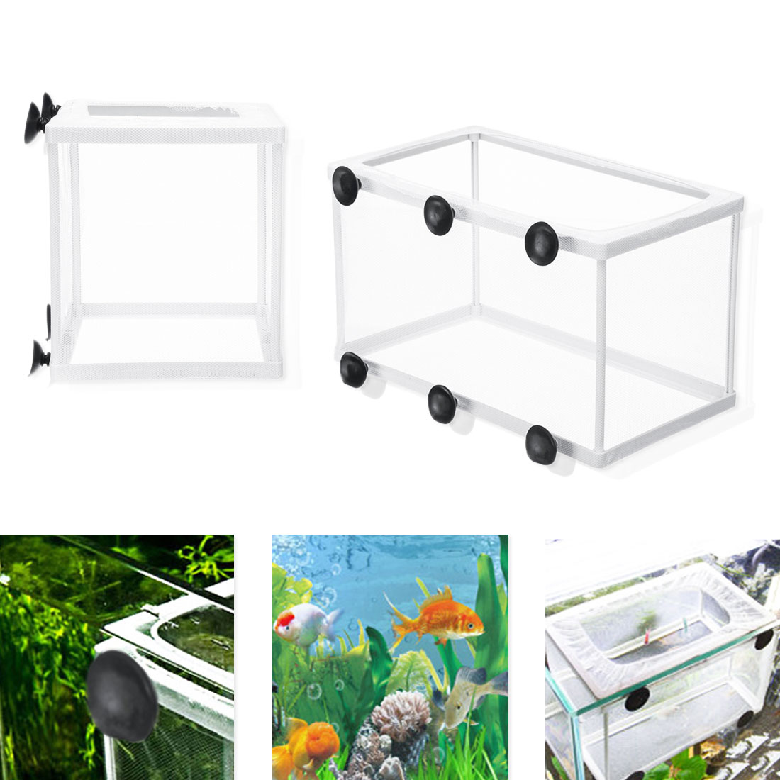 Aquarium Transparent Double Bowl Fighting Fish Min... – Grandado