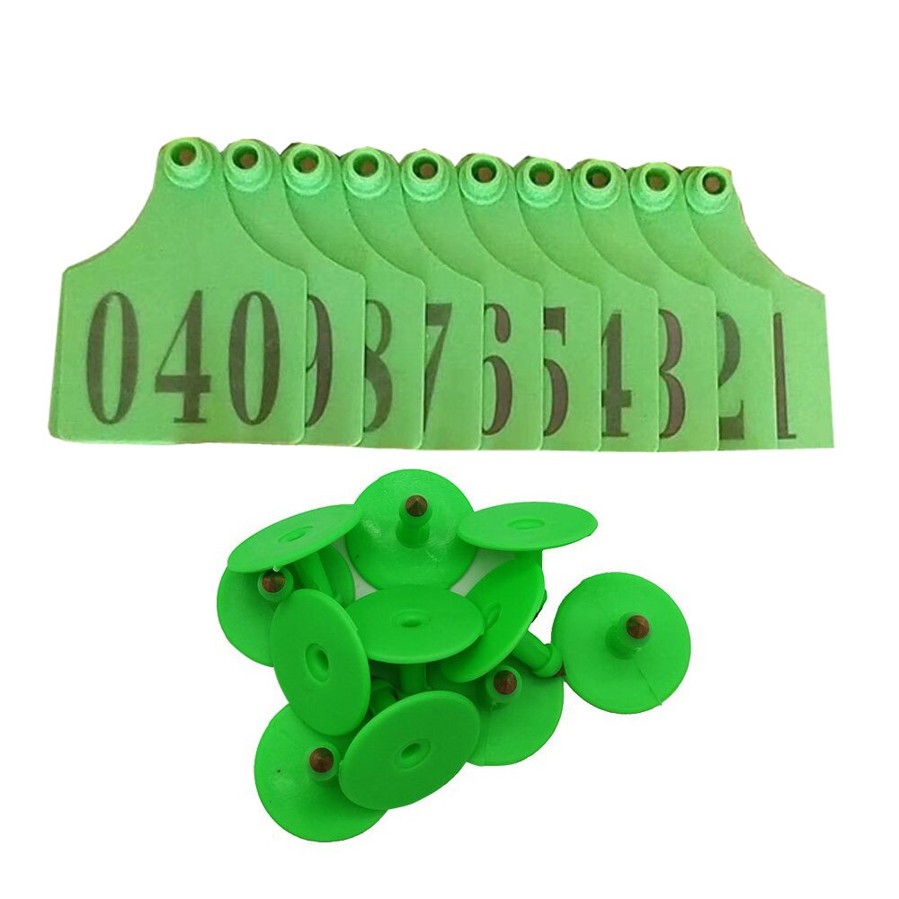 Cattle Ear Tags Cow Larger Plastic Livestock Ear T... – Grandado