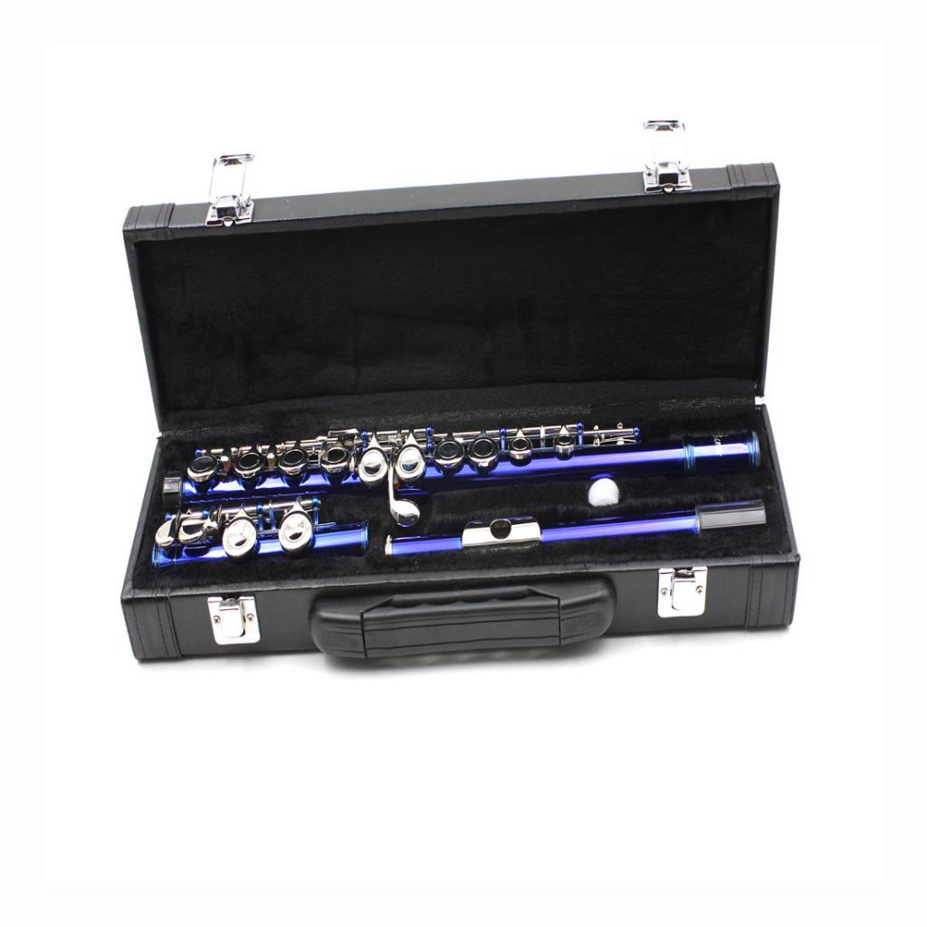 Faux Lederen Piccolo Fluit Hard Case W/Handvat Muz... – Grandado
