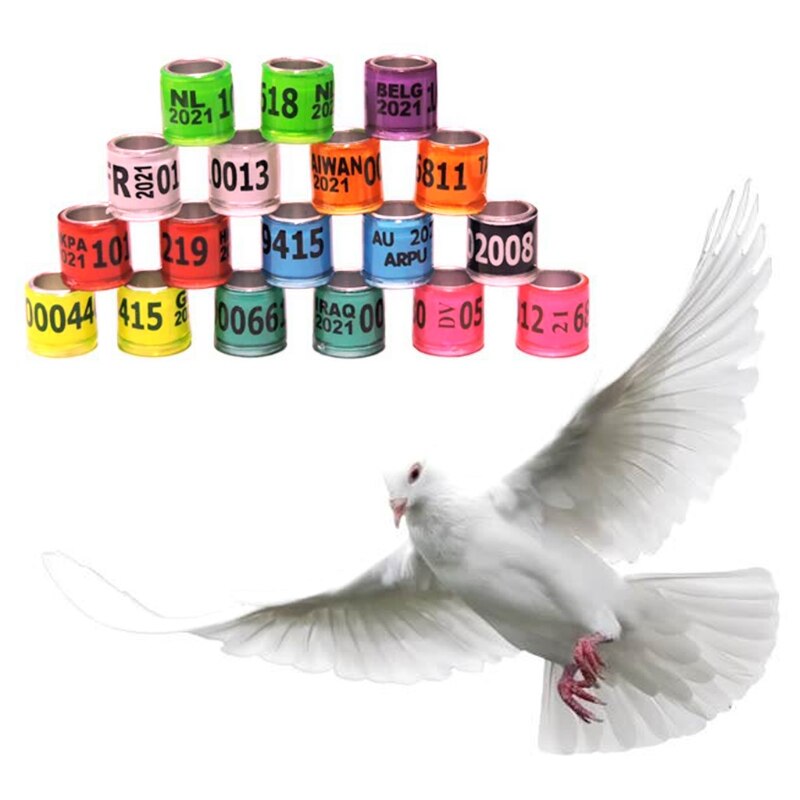 50 Pcs Multi-color Dove Bands Bird Foot Ring Speci... – Grandado