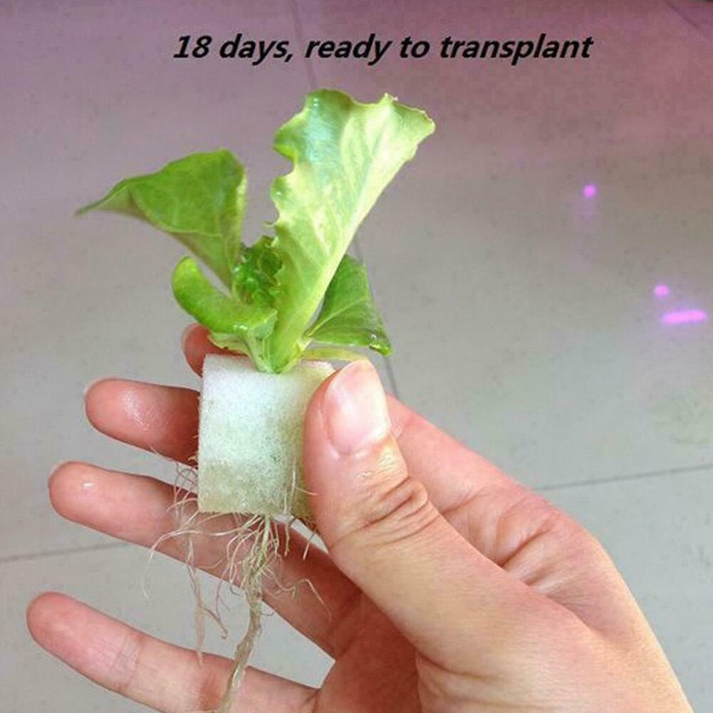 96pcs/set Square Insert Growing Media Cubes Home R... – Vicedeal