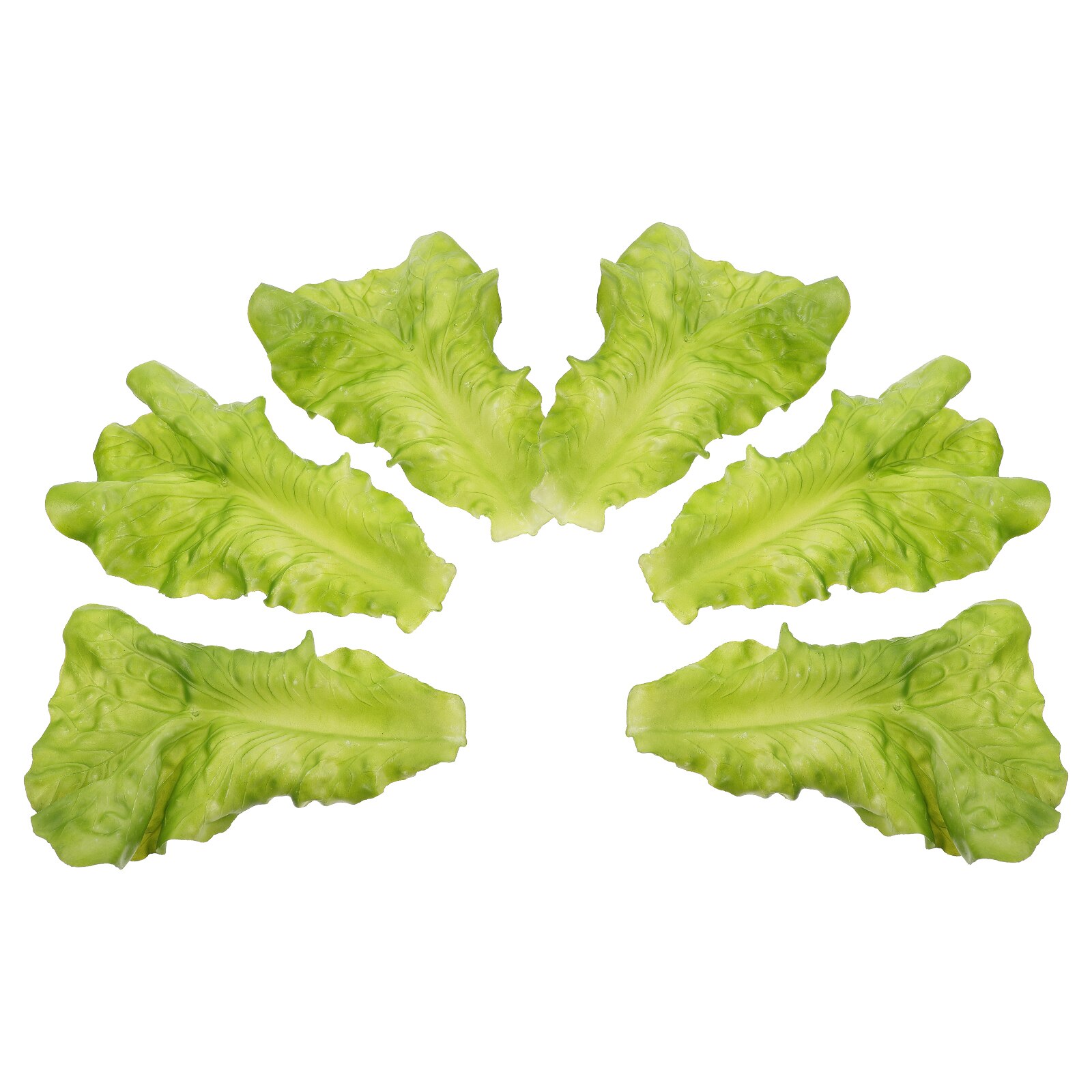 6pcs Emulation Lettuce Leaves Models Simulation Ve... – Grandado