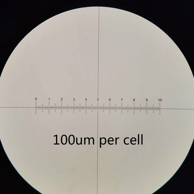 Stereo Microscope Accessories WF10X High Eye Point... – Vicedeal