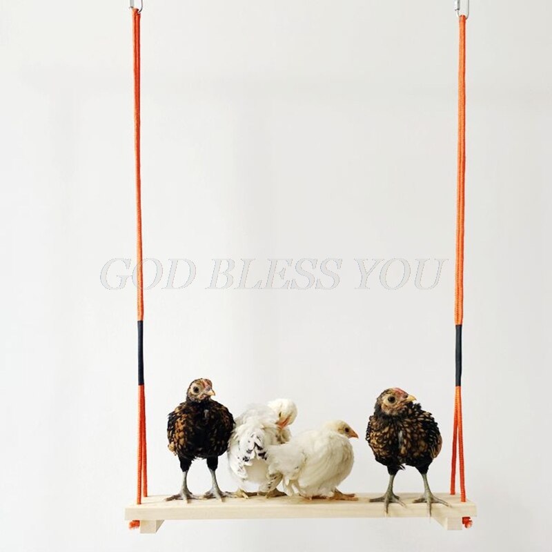 Chicken Ladder Swing Perch Wood Hanging Stand Hand... – Grandado