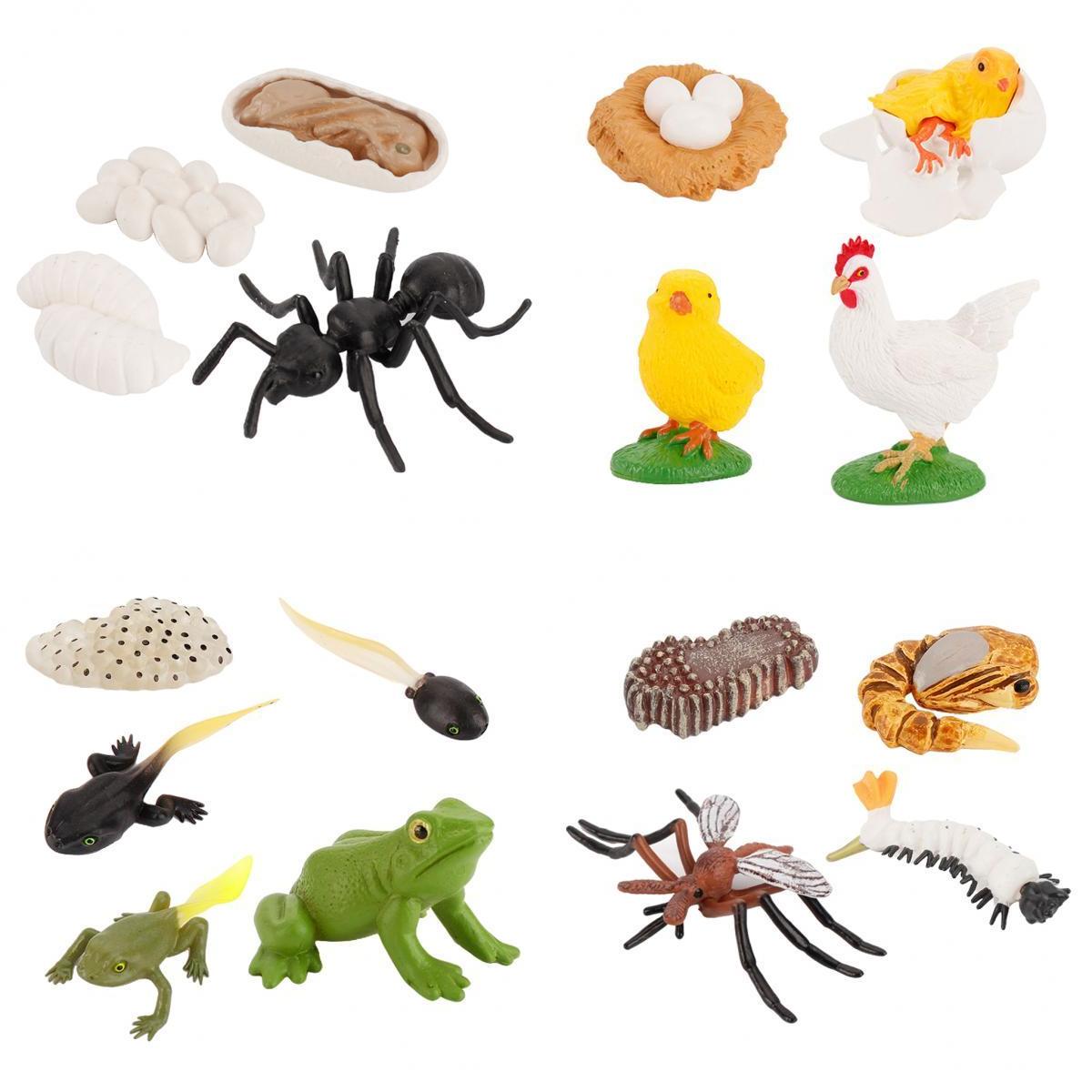 4 Set Kids Toddlers Animals Growth Cycle Figure To... – Grandado