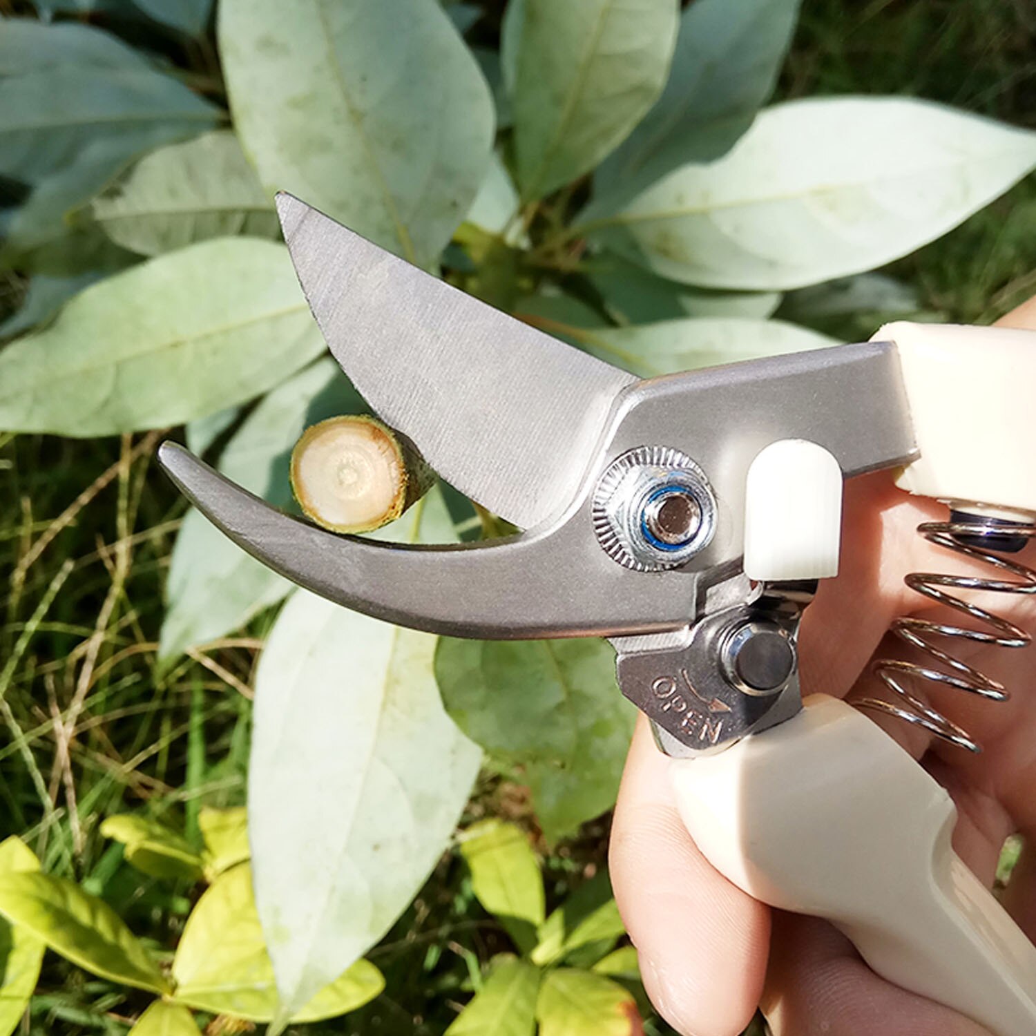 Behogar Stainless Garden Trimming Scissors Pruner ... – Grandado