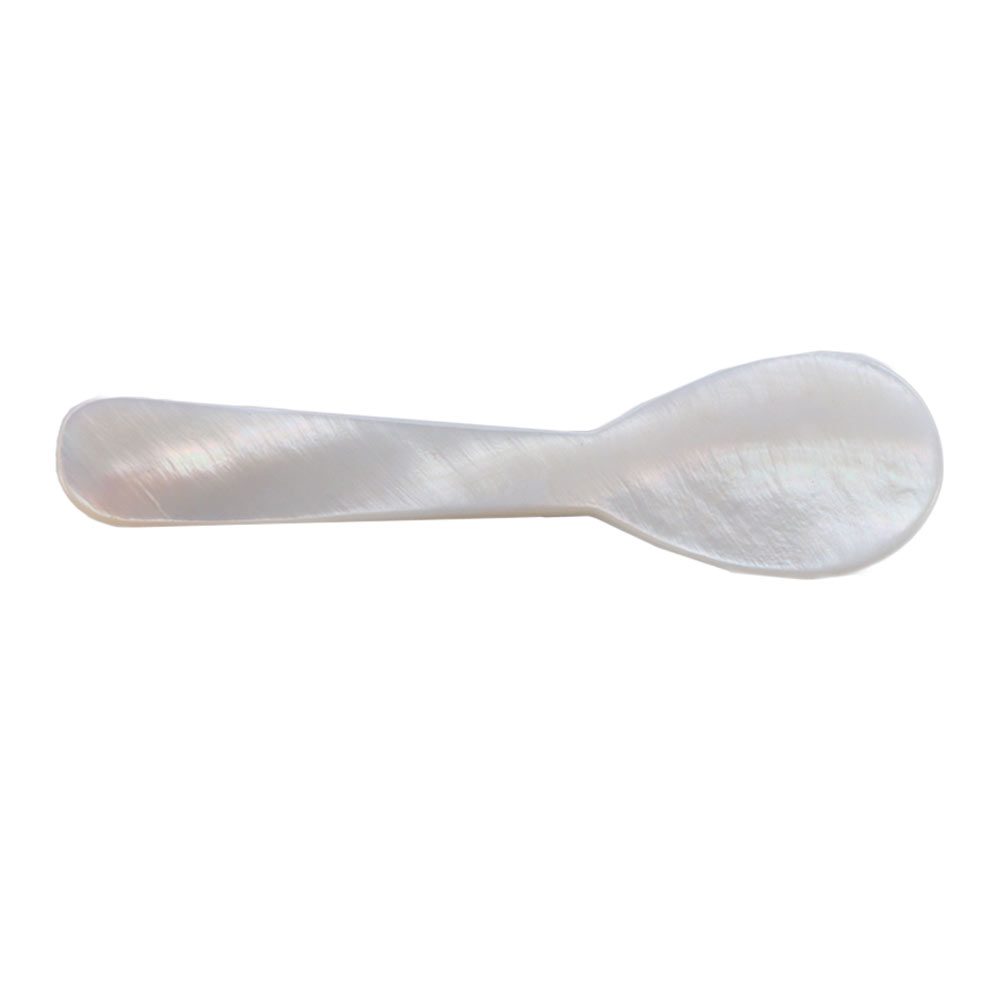 Natural Conch Shell Ice Cream Coffee Spoon Caviar ... – Grandado