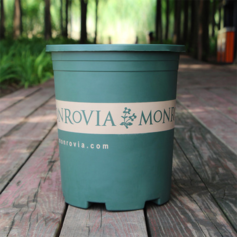 Flower Pot Garden Supplies Green Flower Pot Rose G... – Grandado