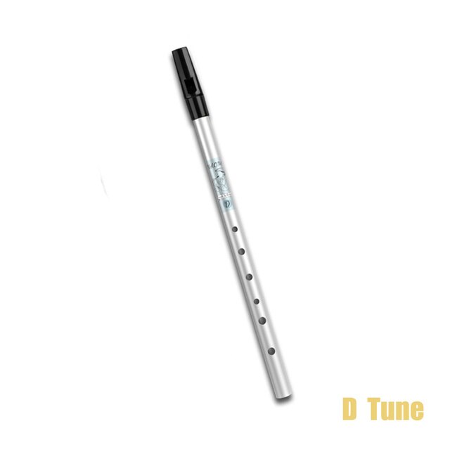 Gold/Silver Flute 6 Holes C/D Key Flute Irish Whis... – Grandado