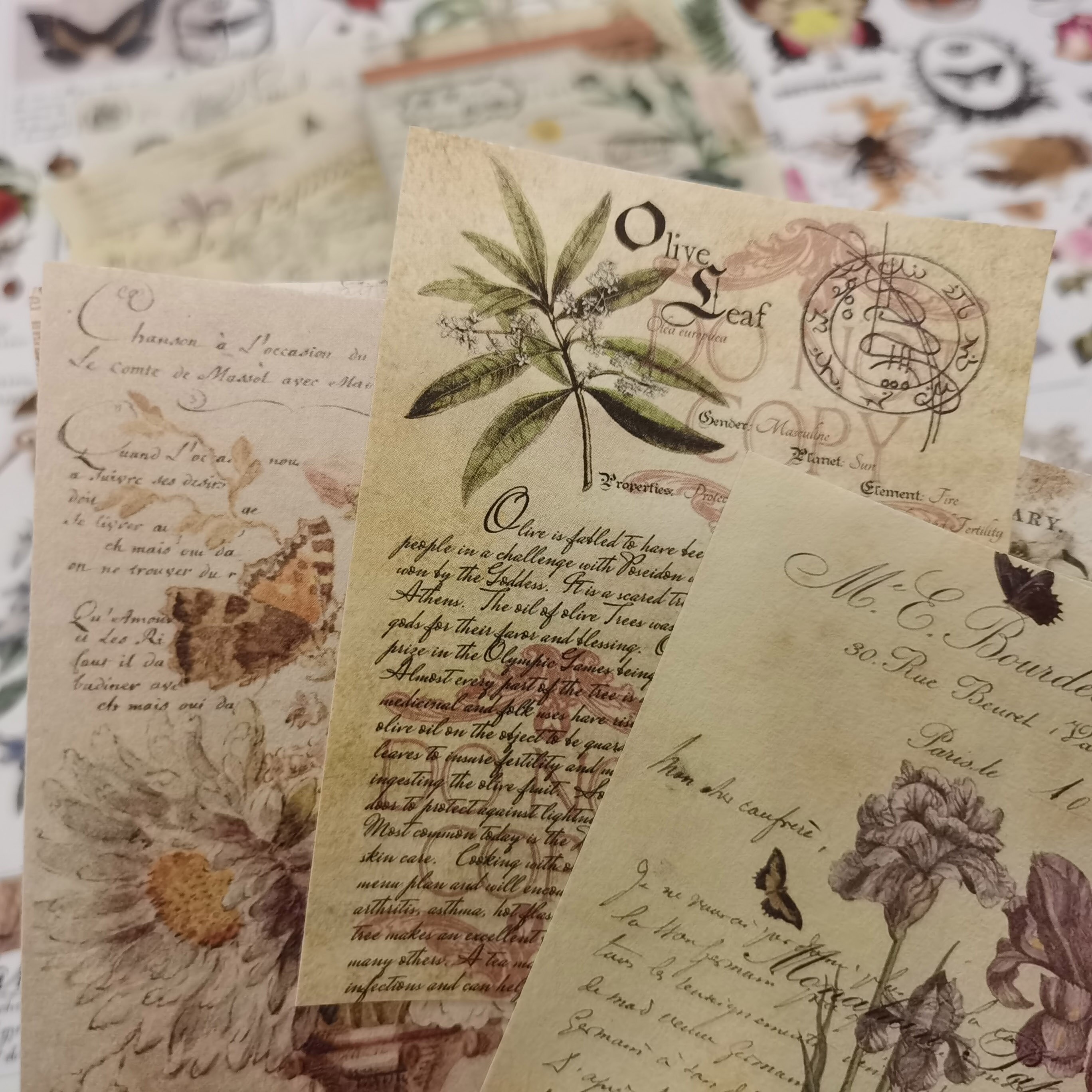 Vintage Botany Manor Scrapbooking Journal Material... – Grandado
