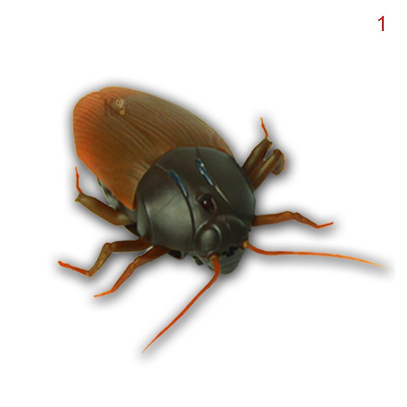 1pcs Lifelike Simulation Cockroach Ant Spider Infr... – Grandado