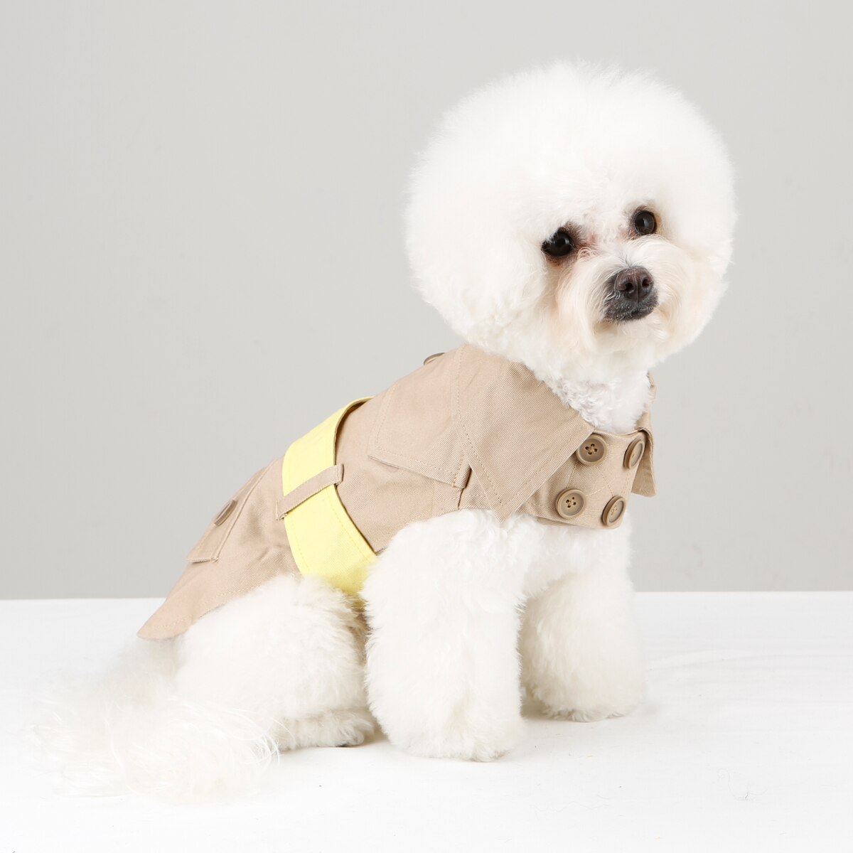 Small and Medium Dog Coats Autumn and Winter Dog T... – Grandado