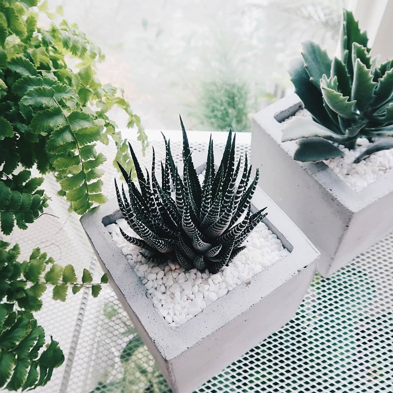 Concrete Silicone Cube Pot Mold Planter Flower Pot... – Vicedeal