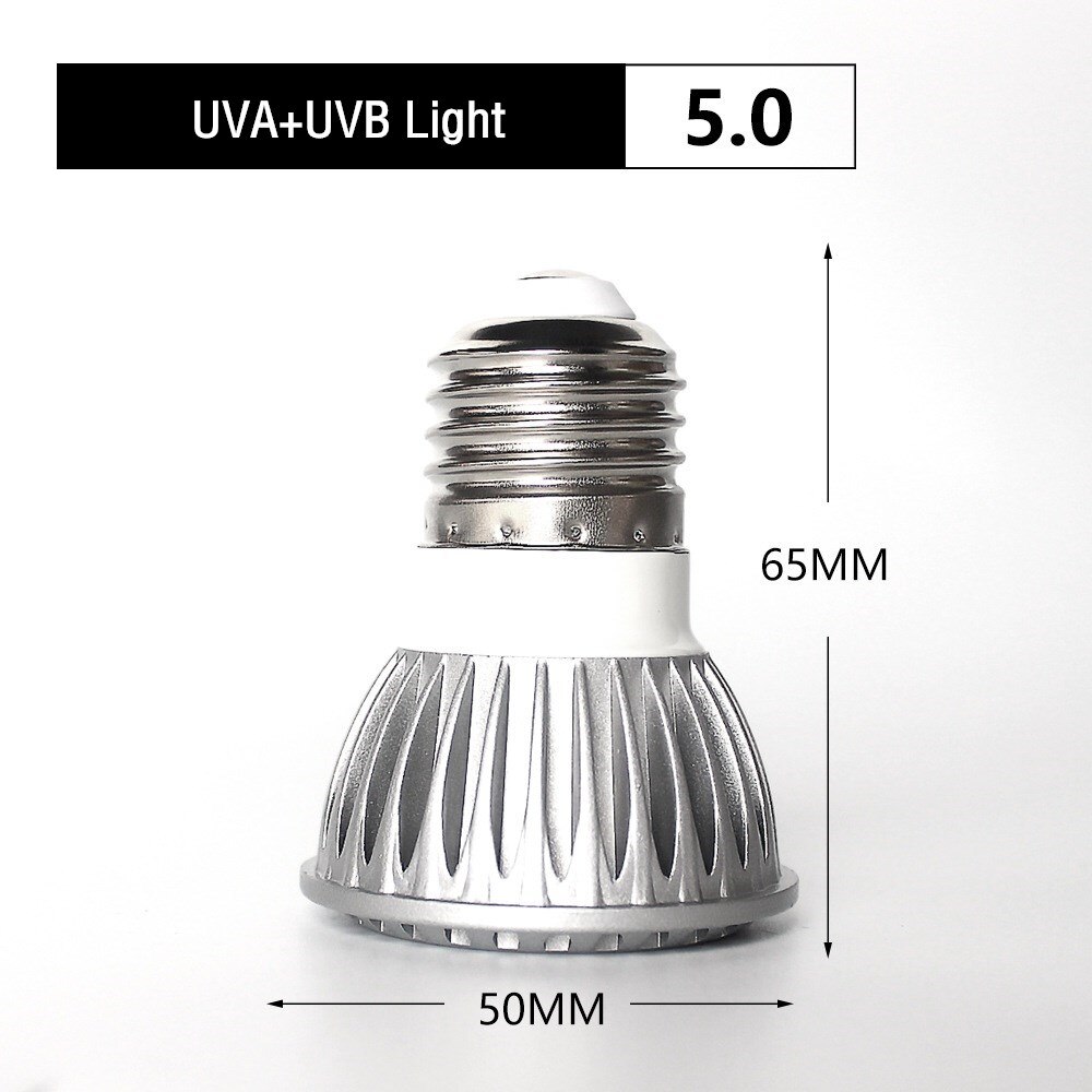 UVA UVB Led Reptile Light Turtle Basking Platform ... – Grandado