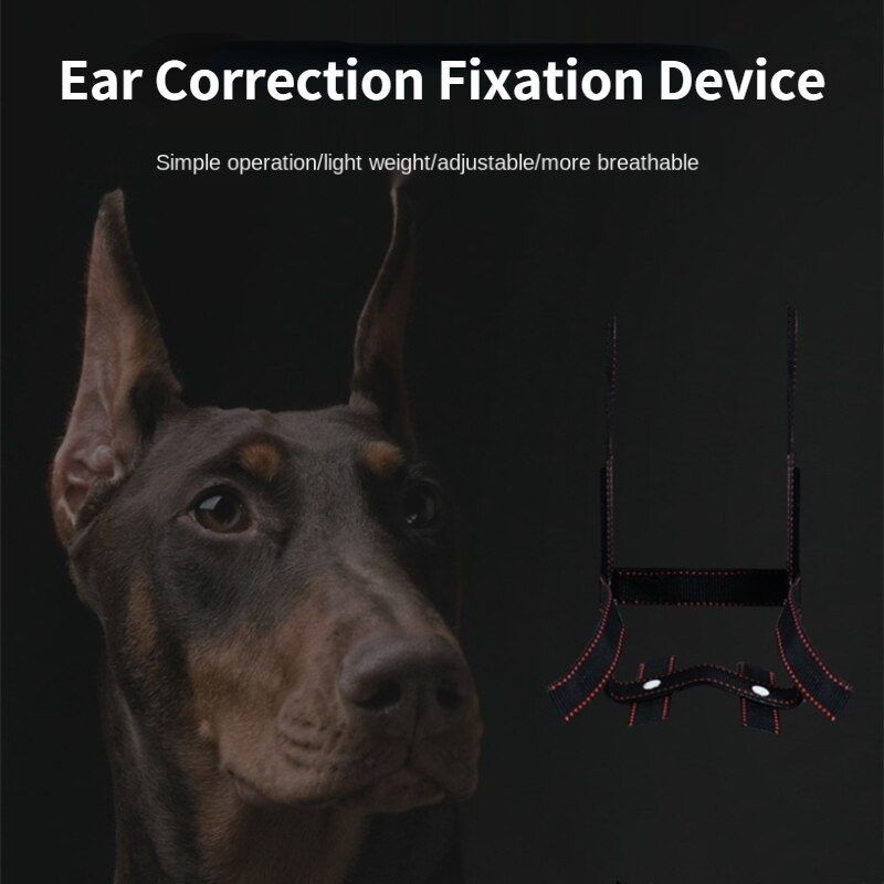 Dog Ear Stand Ear Correction Fixation Tool Adjusta... – Vicedeal