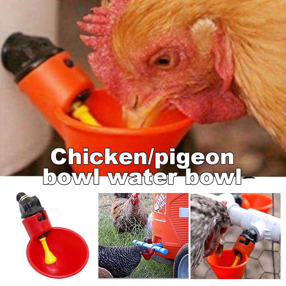 Poultry Water Drinking Cups Automatic Poultry Wate... – Vicedeal
