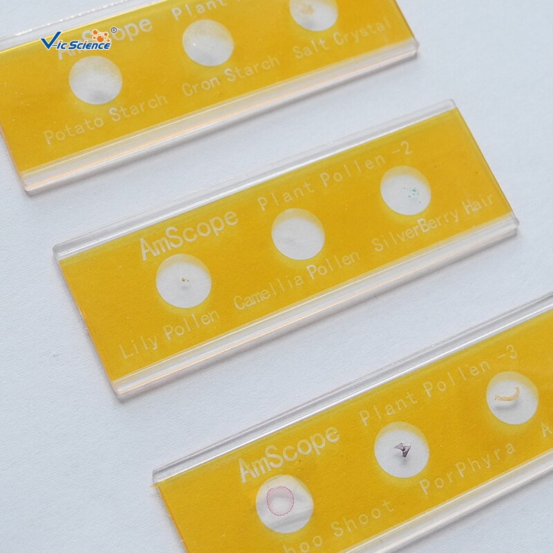 12pcs Mixed Plastic Microscope Biology Prepared Sl... – Grandado