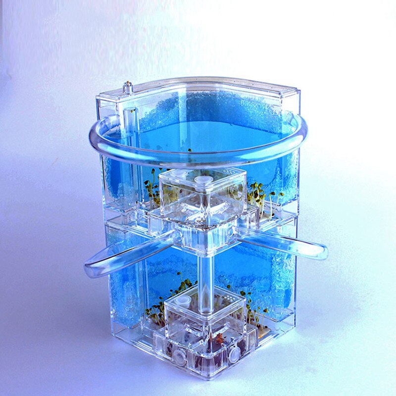 Double layer DIY Acrylic Ant Farm Underground Ant ... – Grandado