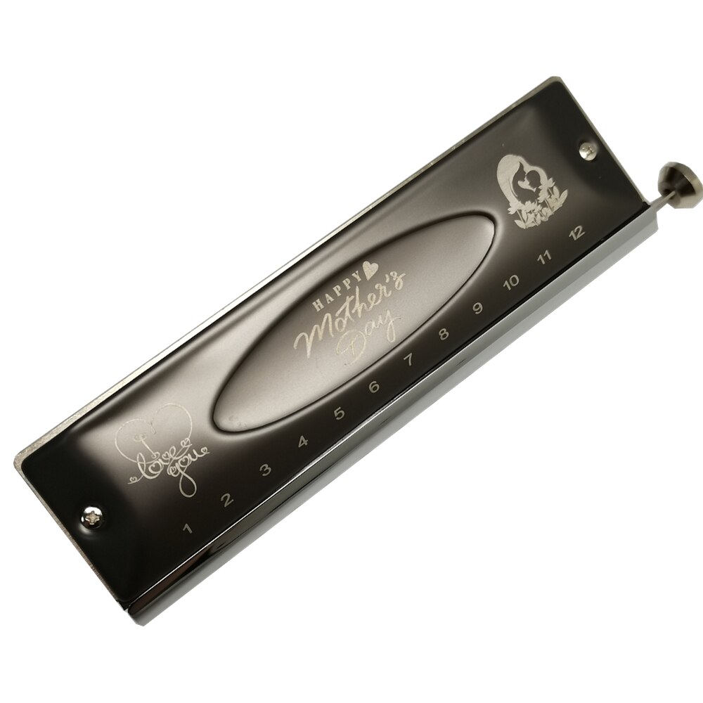 EASTTOP Harmonica Music Instruments Key of C 12 Ho... – Grandado