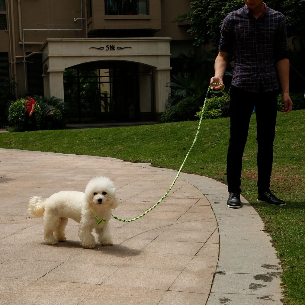 OUTAD-Correa para perro de doble Mango, suave y gr... – Grandado