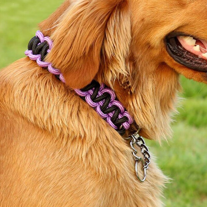 P Chain Adjustable Pet Collar Upgraded Color Large... – Grandado